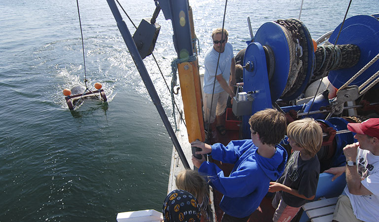Sieben Gründe für Familienferien auf Fehmarn - Lumao